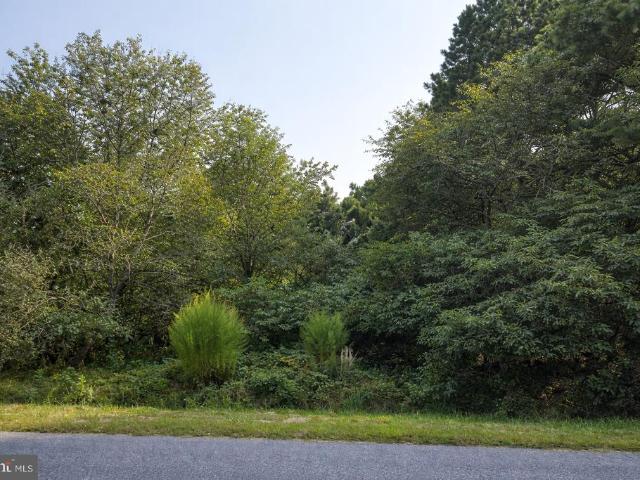 Lot A Salisbury Road