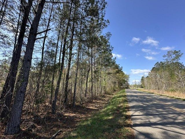 Snider Road Ave Parcel F, AL