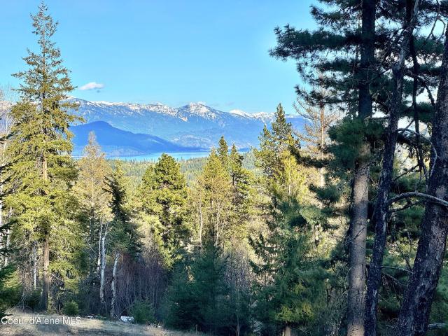 Lot A Spring View Ln, Sagle, ID 83860 | MLS #25 11 | Compass