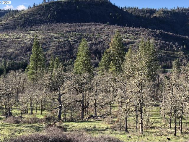 Lot at Wahkiacus