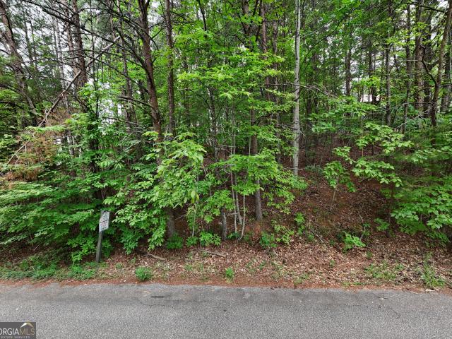 LOT B2 Starlight Drive