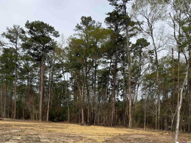 Lot b3 Reinninger Rd, Denham Springs, LA 70706 | MLS #BR2024003 | Compass
