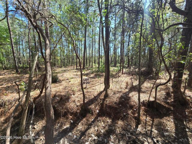 Lot B 20 Renee Drive # B 20