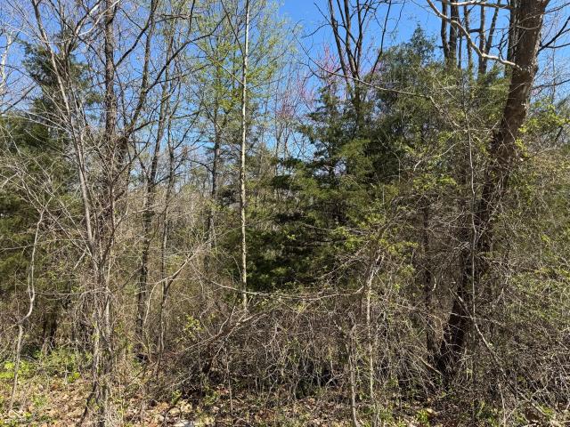 Lot B 21 State Highway 46