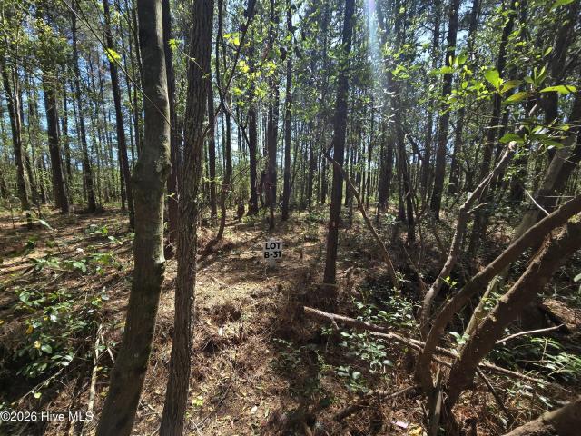 Lot B 31 Renee Drive # B 31