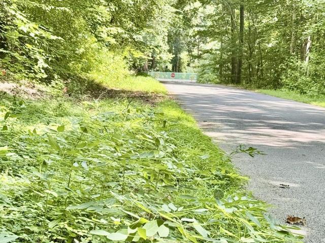 Lot B Adair Place