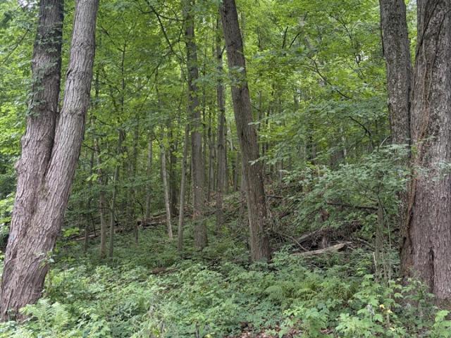 LOT B E Riverside Drive