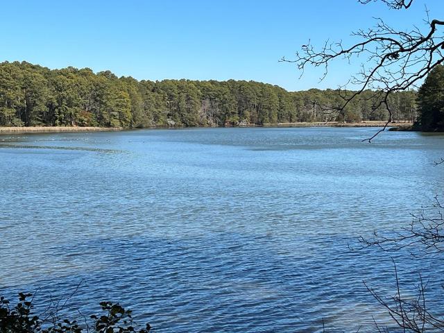 Lot B Holly Bluff Drive