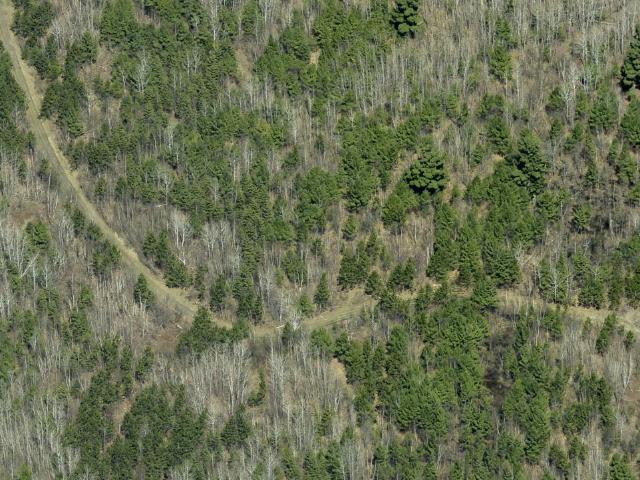 Lot B Hwy. 24