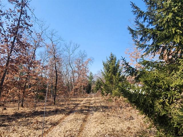 Lot B Jeffers Street