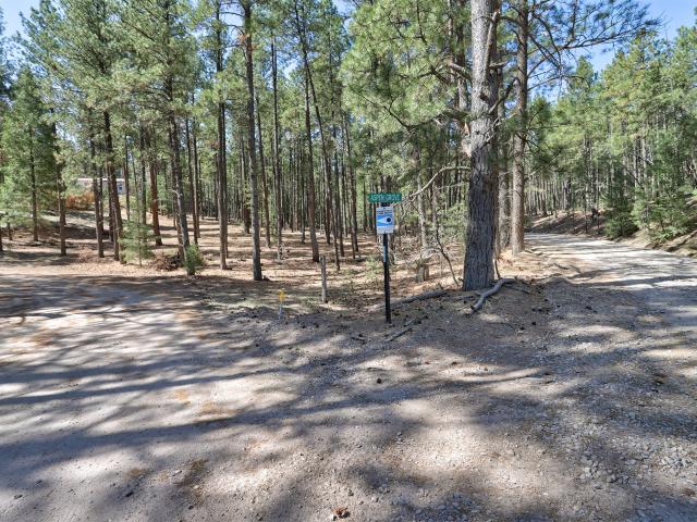 Lot B Lands of Hotchkiss FR 10