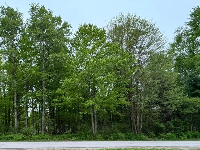 Lot b lake road & elmwood avenue