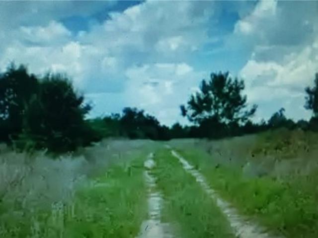 Lot D6, Palm Circle, GA 32008