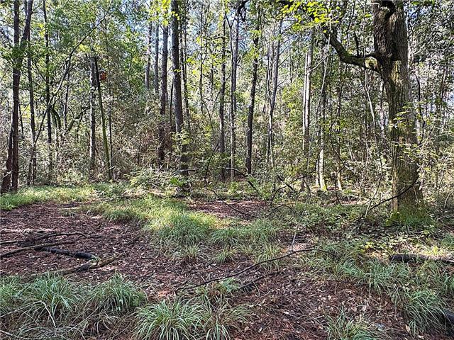 Lot d Dove Park Rd, Covington, LA 70433 | MLS #2520