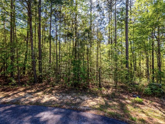 Lot E 30 Pine Ridge Way