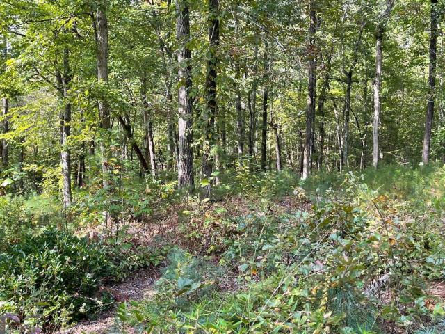 LOT E Timber Ridge