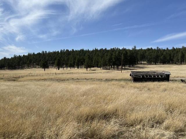 Lot E Forest Road 26