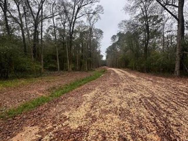 Lot E Hunter Oaks Lane