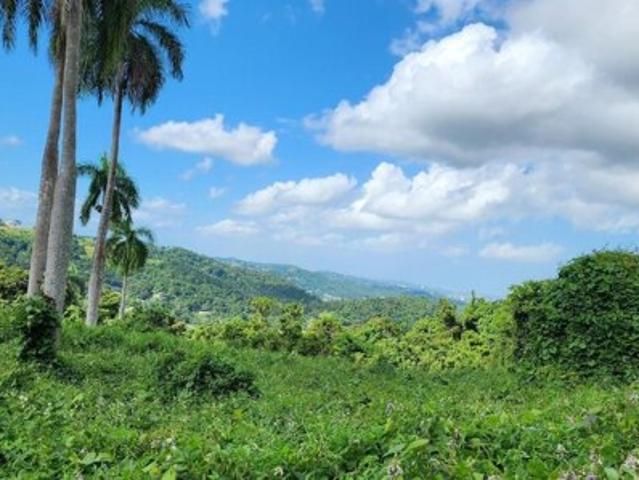 Lot E, Rio Grande, Plot For Sale