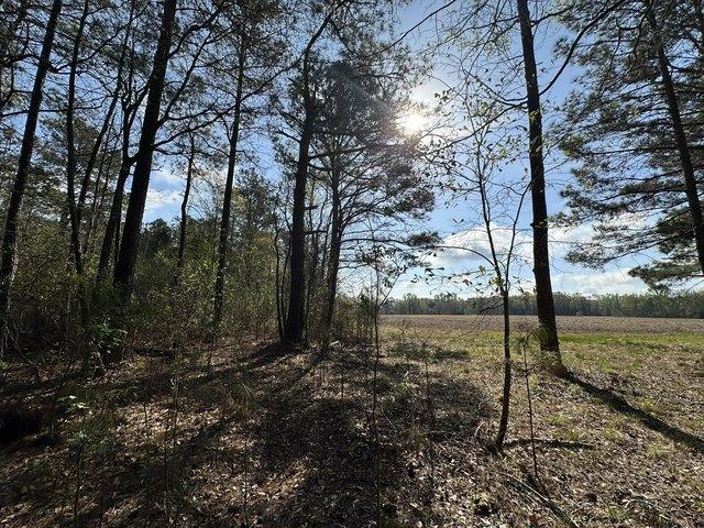 Lot E, Snider Avenue, AL