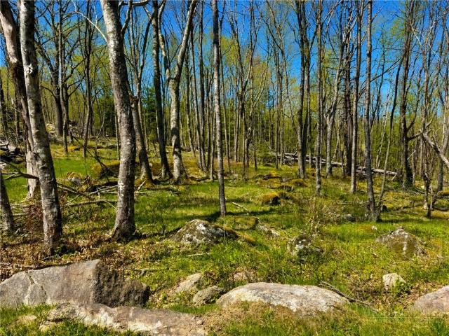 Lot ES 21 Eagle Springs Trail