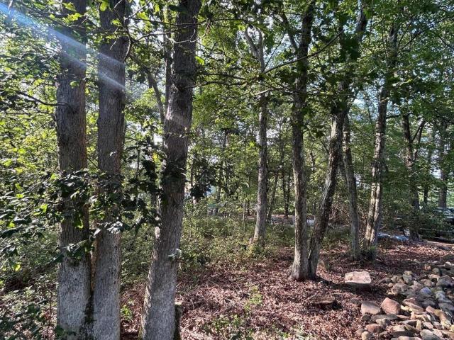 Lot f534 Pinoak Dr, Jim Thorpe, PA 18229 | MLS #PM 133990 | Compass