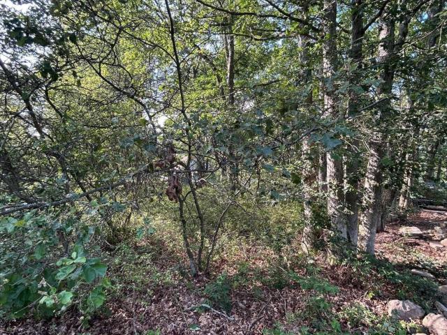 Lot F534 Pinoak Drive