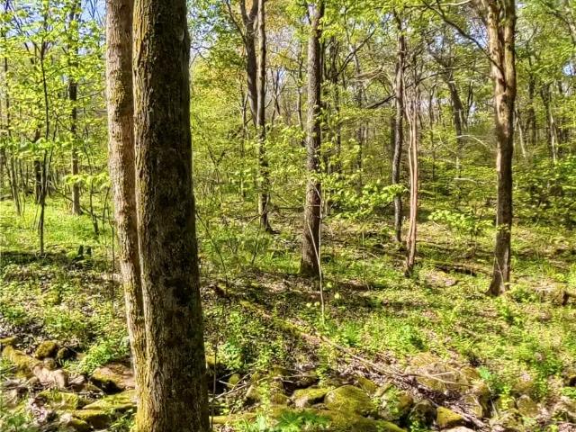 Lot F 1 Fern Mountain Rd