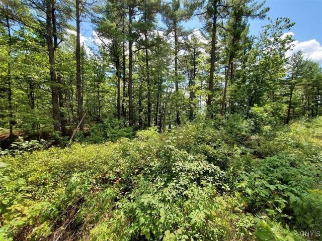 Lot F Beachfront Lane Drive N