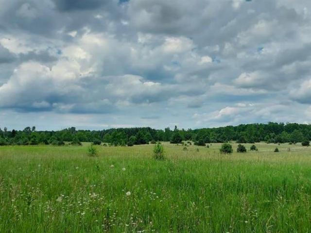 Lot F E Sparling Road