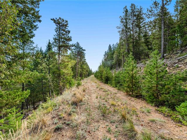 Lot F Gray Wolf Trail
