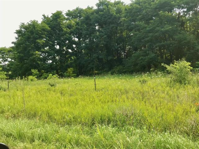 Lot I Buckhorn Road # Lot I
