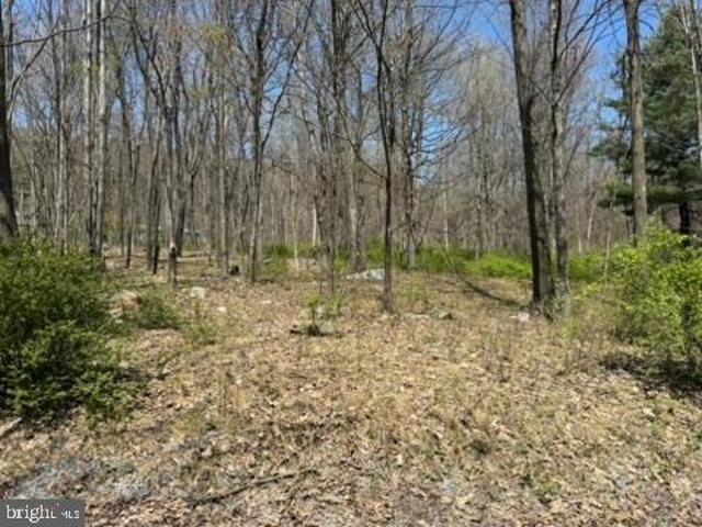 LOT ON S Mountain Road