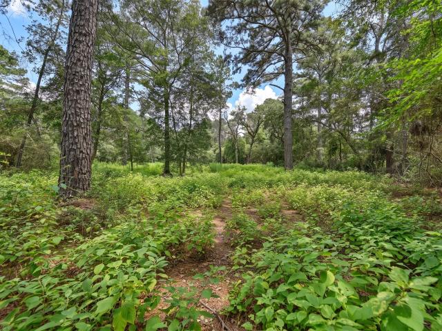 Lot One, 3340 County Road 325