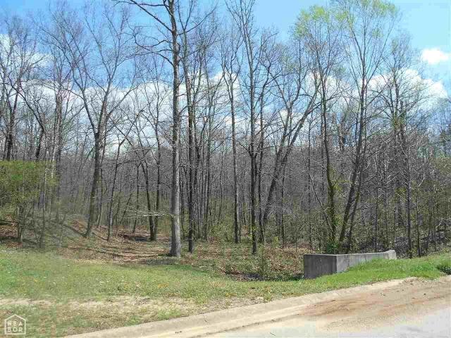 Lot Oak Creek Drive