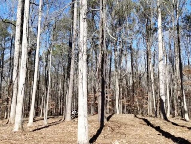 Lot Little Ridge Rd Lot,acworth, Plot For Sale