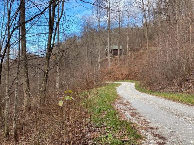 Lot m2 Georgianna Ln, Bryson City, NC 28713 | MLS #425014