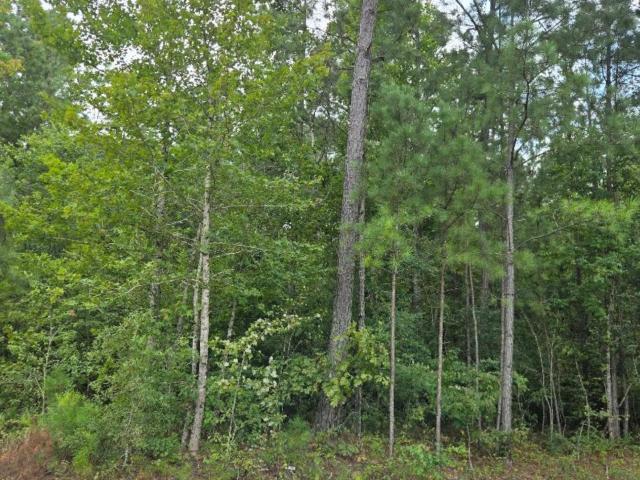 Lot M Old Edgefield Road