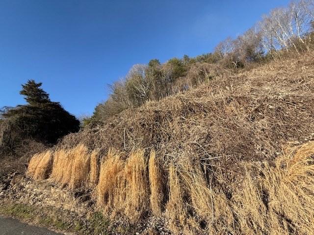 Lot Main St, Copperhill, TN 37317 | MLS #422514