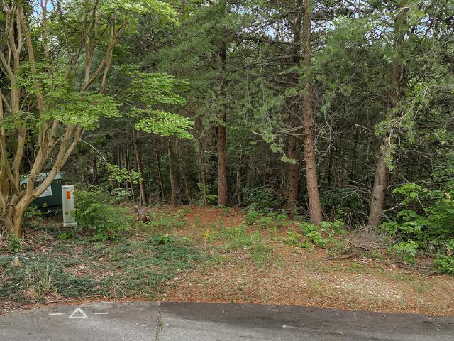 Lot N 25 Jocassee Ridge Way