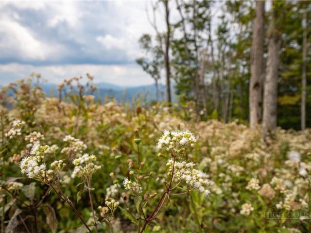 Lot S 127 Silver Eagle Trail