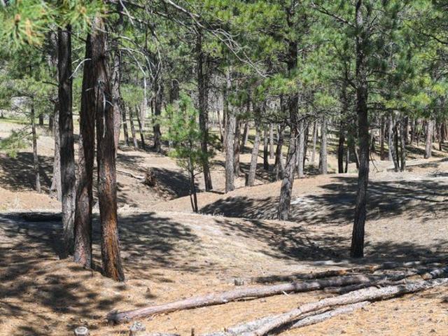 Lot S Pine Trl Lot Peaceful, Belle Fourche, SD 57717