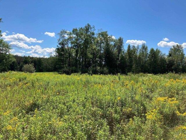 Lot,richford, Plot For Sale