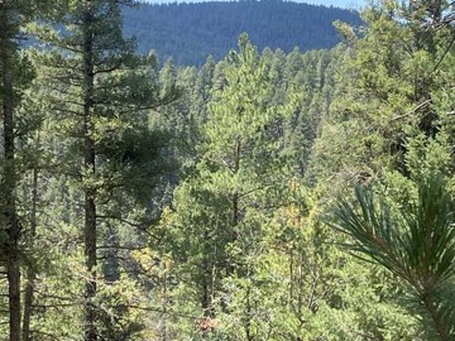 Lot Waterfall, Cloudcroft, NM 88317