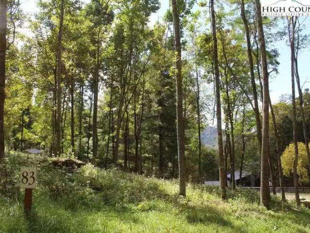 Lot V83 Black Feather Dr, Banner Elk, NC 28604 MLS 252528