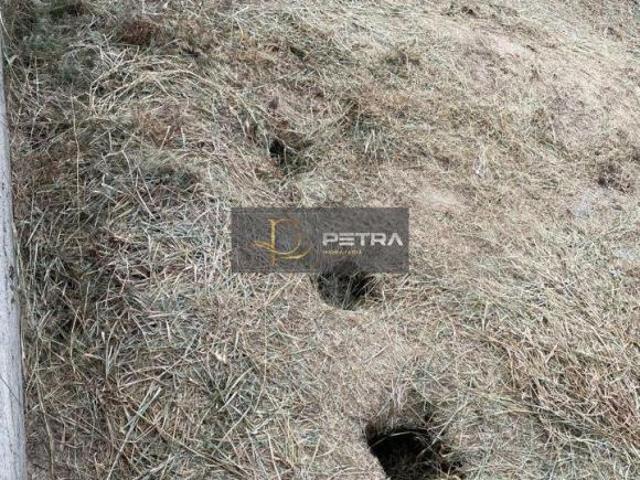Terreno à venda em Alvorada