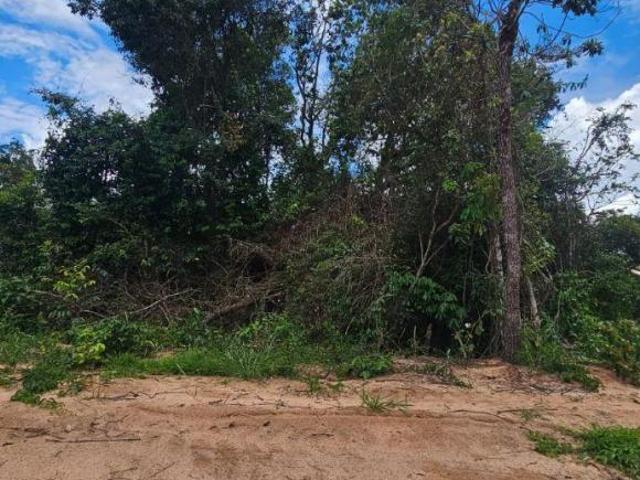 LOTE MARAVILHOSO NINHO VERDE 2 PARDINHO