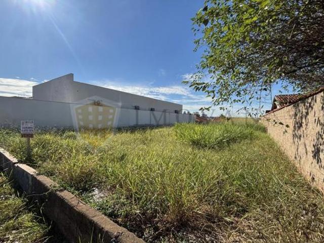 Lote Misto 14x35