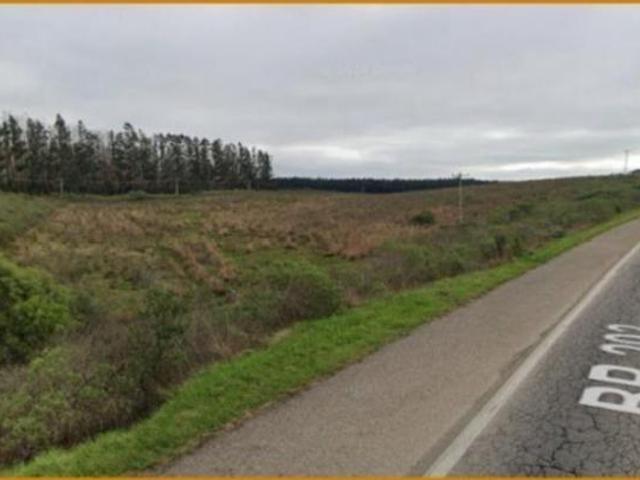 LOTE N°09, SEM BENFEITORIAS, SITUADO NA ESTRADA FEDERAL BR 293, KM 136,5, CANDIOTA/RS