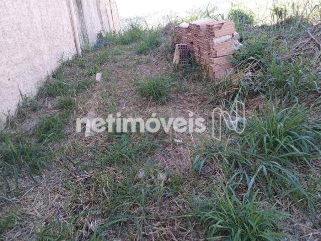 Lote na rua do Serro